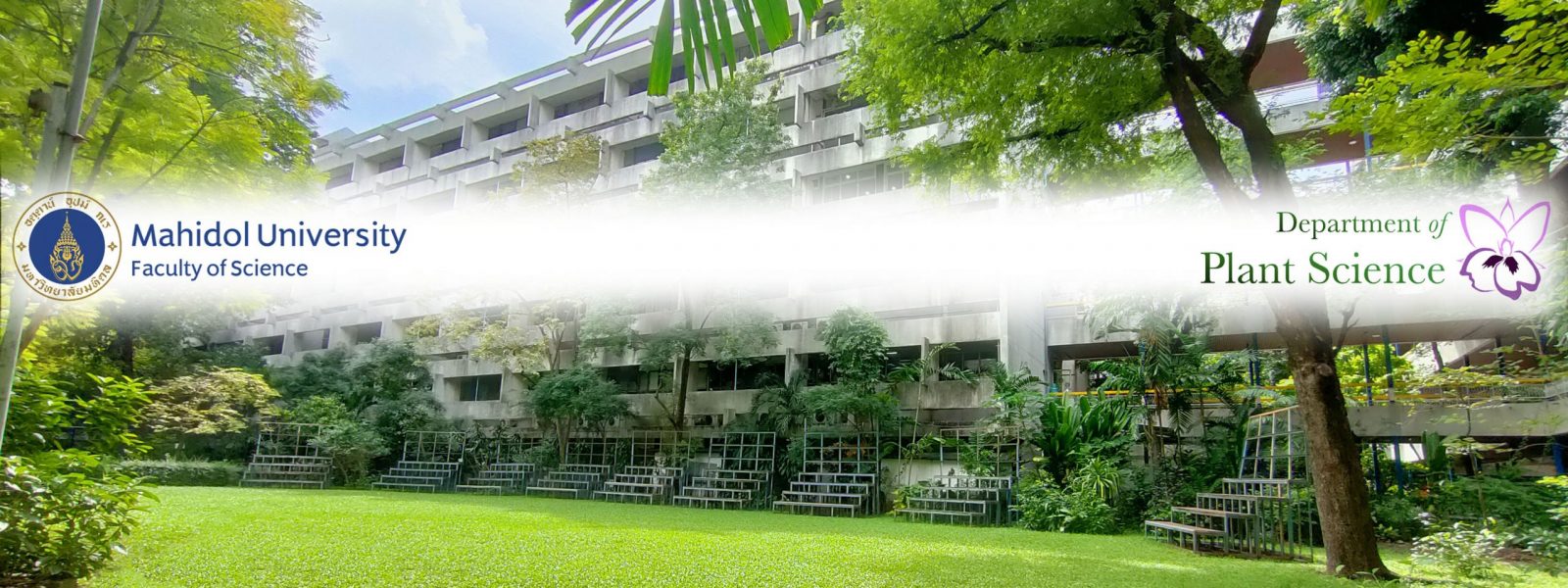 cropped-รูปสนามok-copy-scaled-1.jpg – Mahidol University